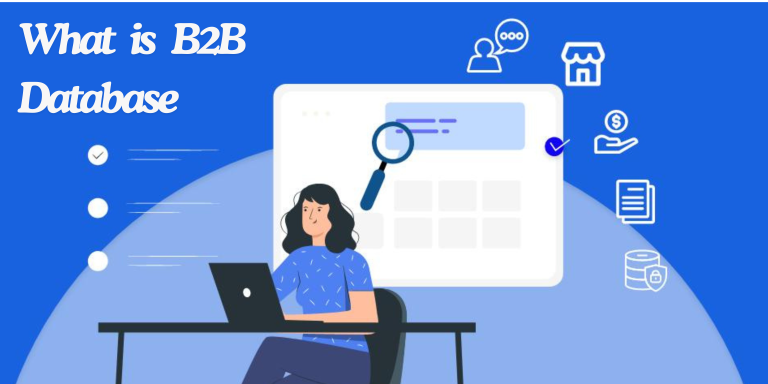 The Complete Guide of B2B Databases: Contact Data Providers